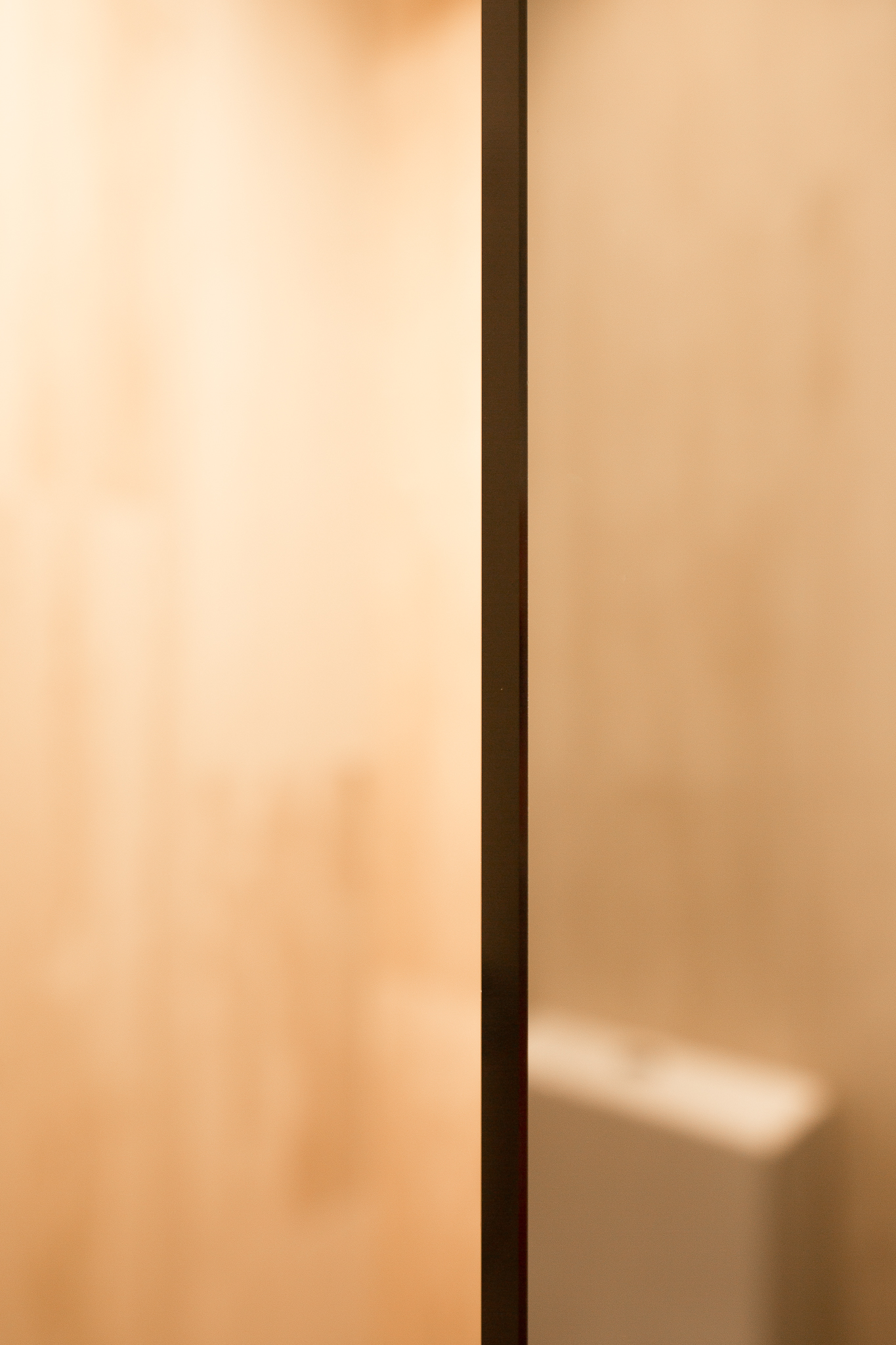 Civic Shower Screens And Wardrobes | Hinged Frameless ShowerScreens